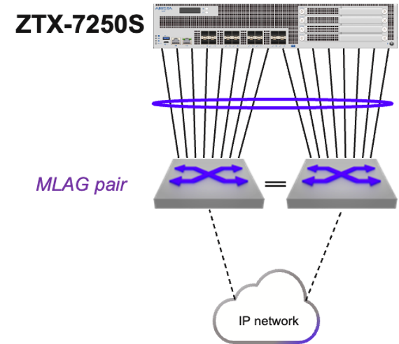 MSS Deployment Guide - Initial Setup and Configuration - Arista